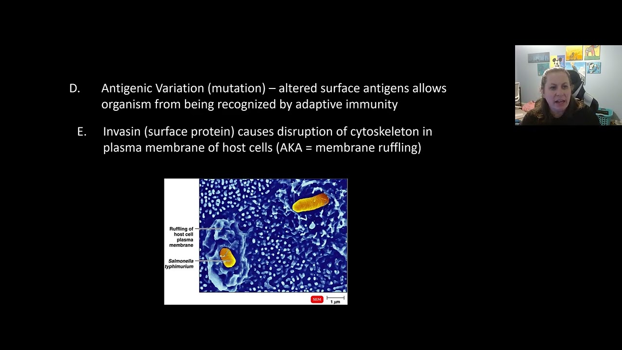 Microbial Mechanisms of Pathogenicity - YouTube