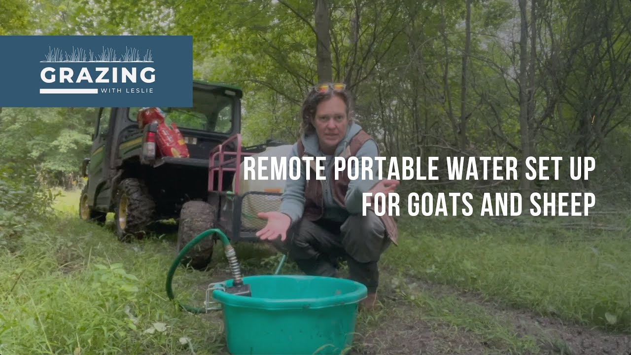 Portable water tank for goats, sheep [off grid] - YouTube