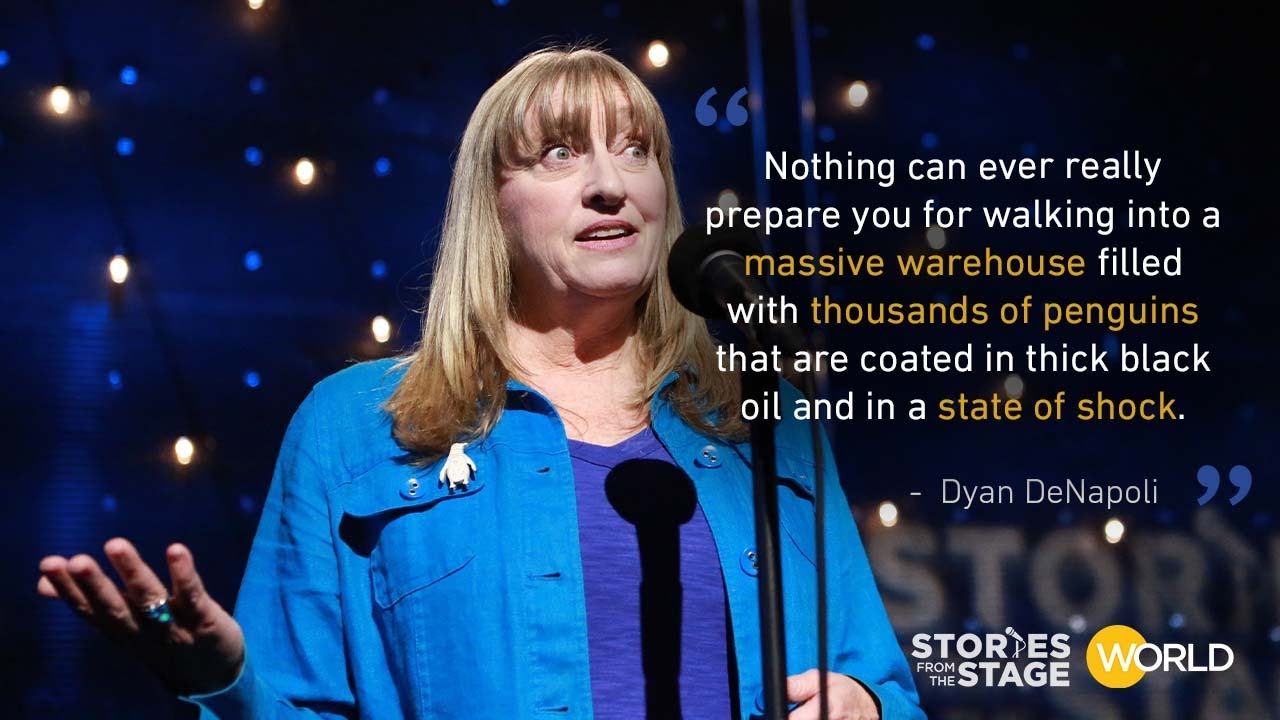 Rescuing 40,000 Penguins in South Africa | Dyan deNapoli's Story - YouTube