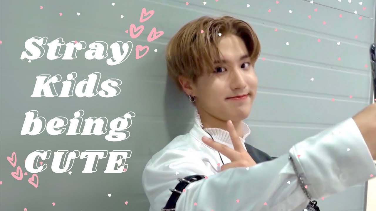 Stray Kids being Cute Kids pt. 14 - YouTube