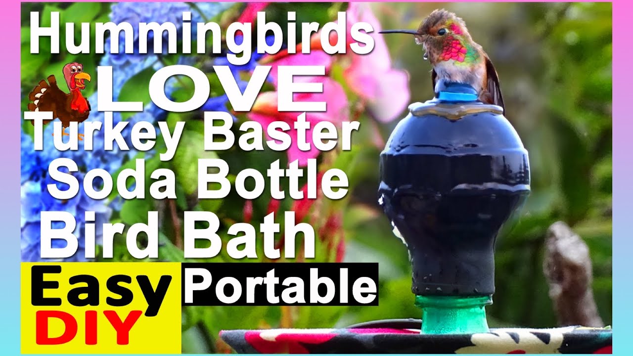 How To Make Hummingbird ENDLESS Water Fountain LOVED *1st EVER Bird ...