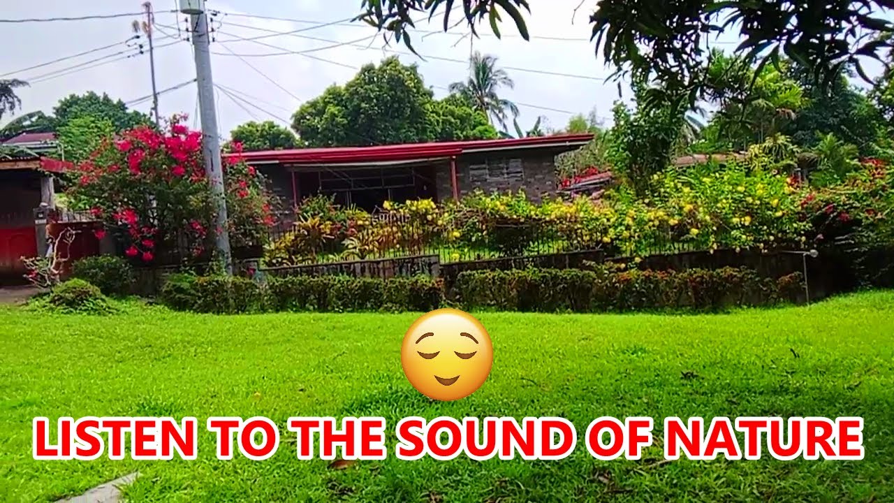 LONG AND TIRING HIKE at UP Los Baños - (PART 2) - YouTube