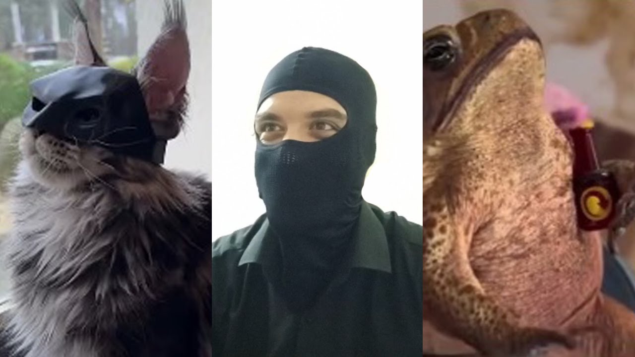 Best MASK REACTION Funny Try Not To Laugh Challenge Compilation 🤣 2025 ...