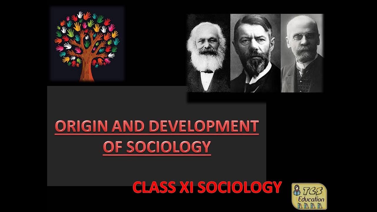 origin and development of sociology | sociology class 11 | sociology ...