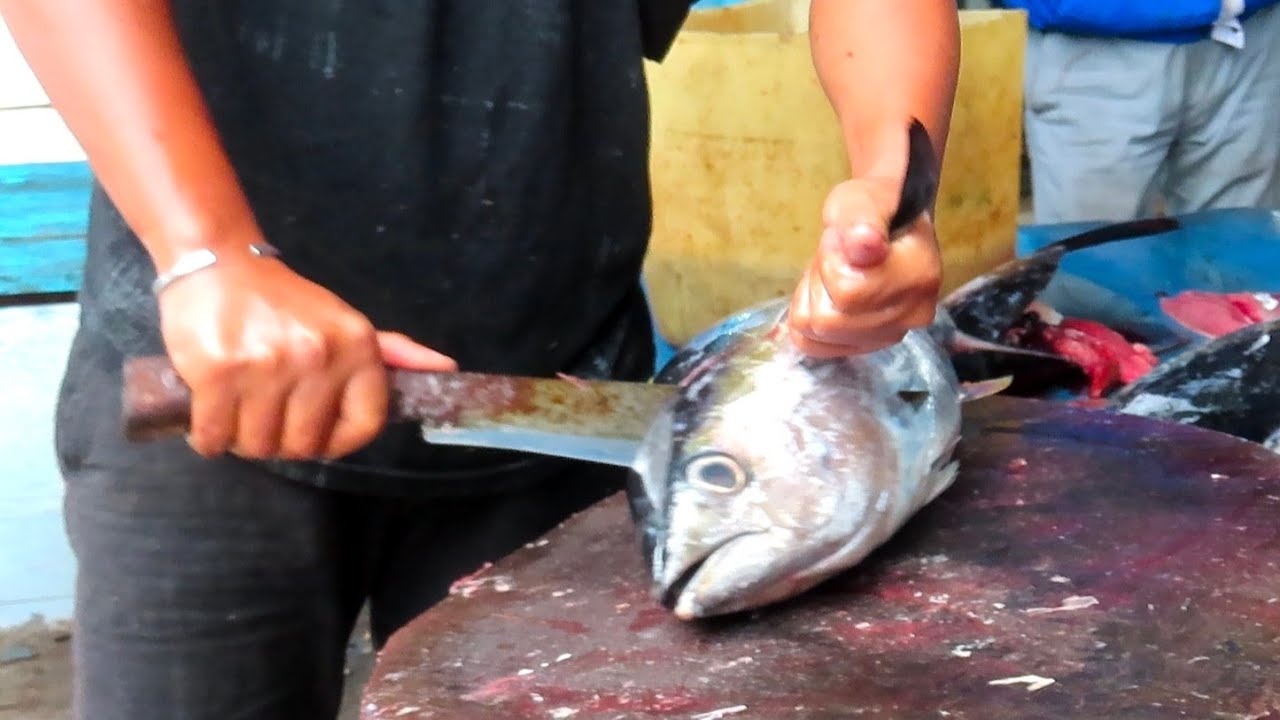 Inpressive! machete skills in cutting baby tuna - YouTube