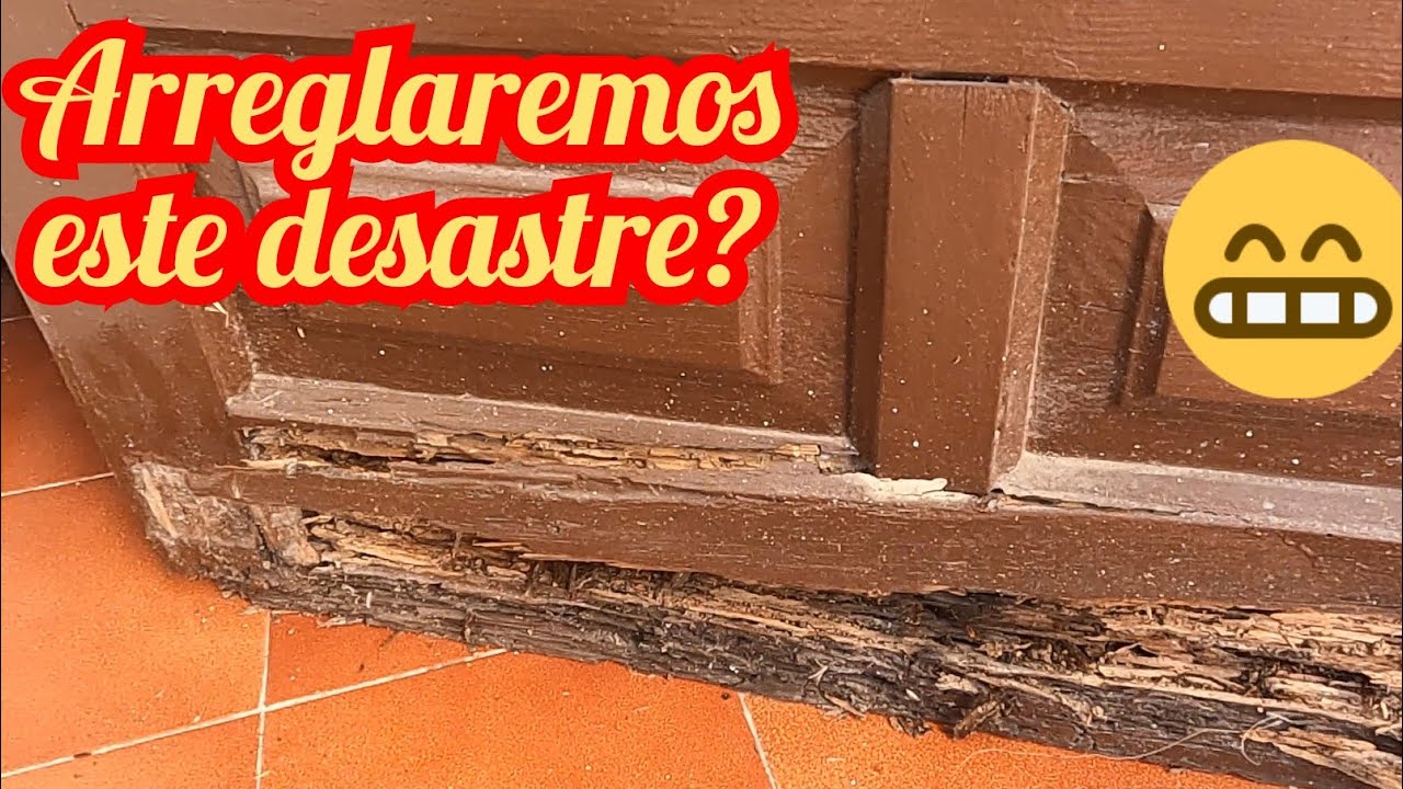 REMPLAZAMOS Y ARREGLAMOS MADERAS CARCOMIDAS - YouTube