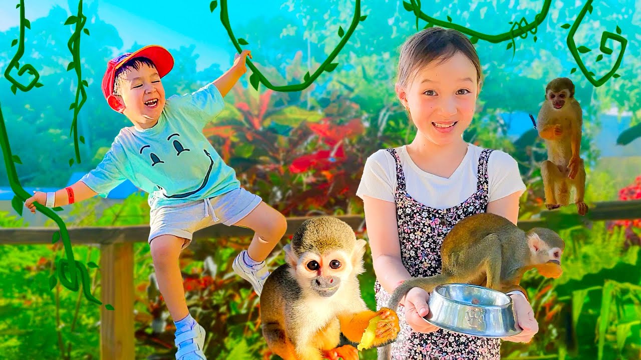 Dan and Jassy Feeding Real Monkeys at the Zoo! Cute Animals for kids ...