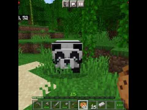 Livestream von Robert Mattison - YouTube