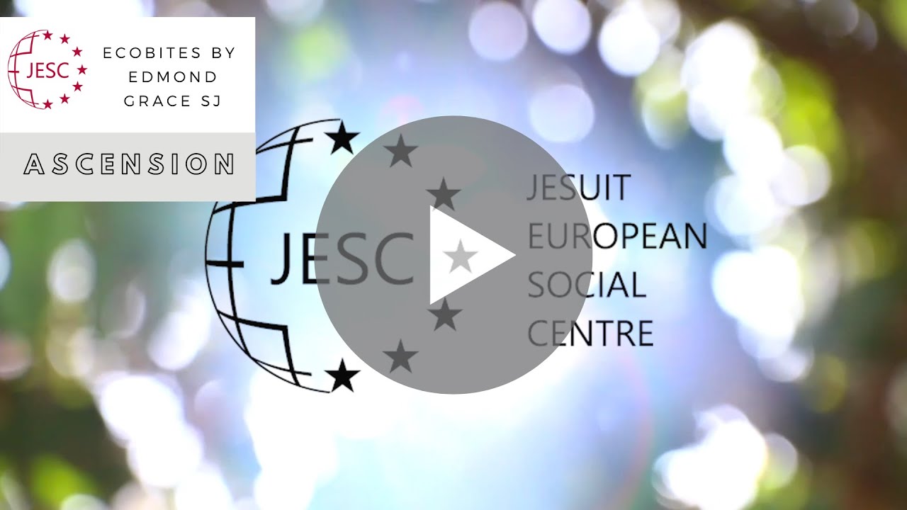 Ecobites: Ascension - YouTube