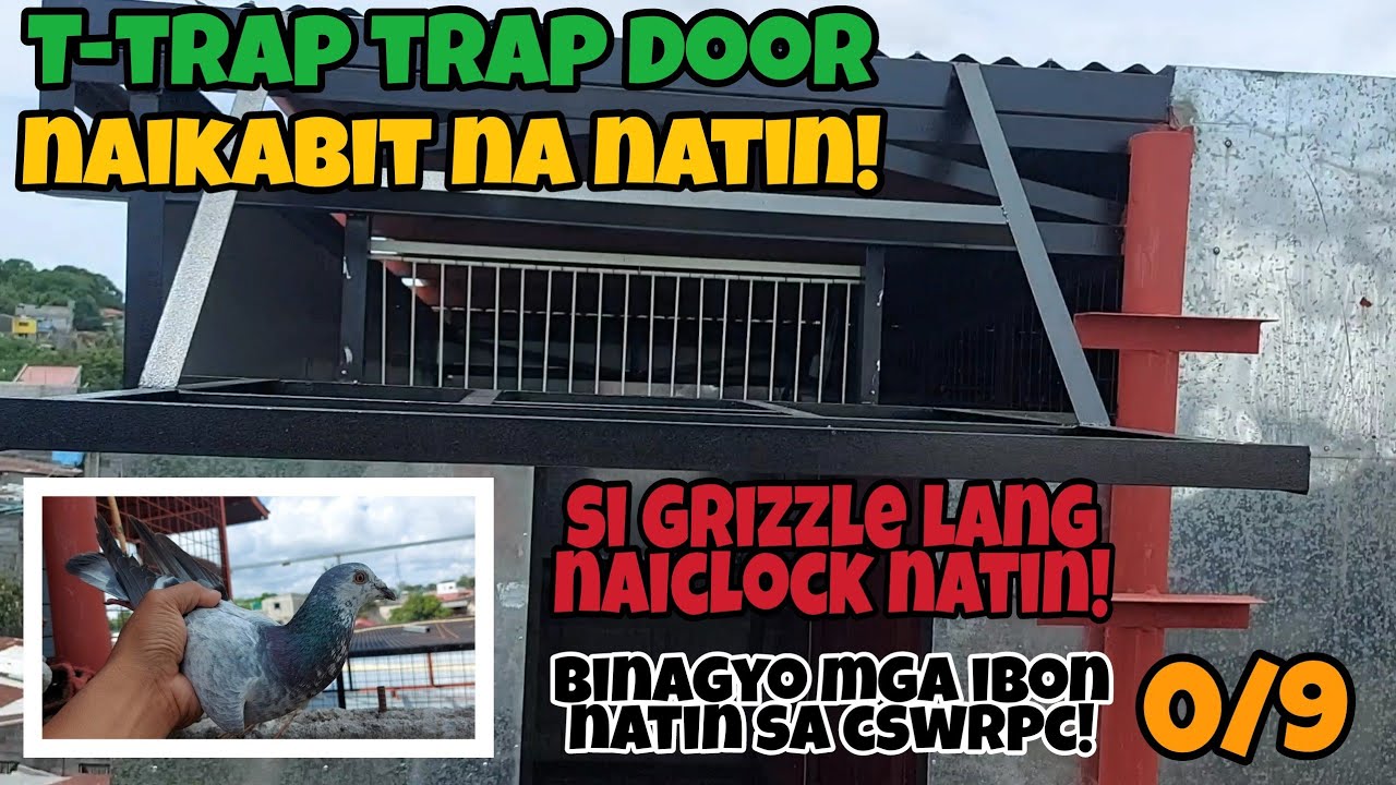 SIMPLENG TRAP DOOR PARA SA KALAPATI SA LIKOD! ZERO CLOCK TAYO SA CSW ...