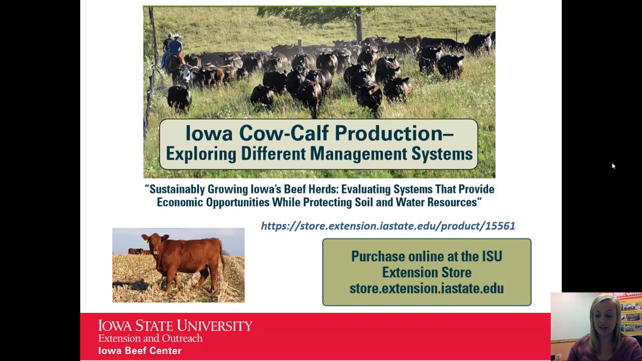 Cow Systems Series - Soil and Water - YouTube