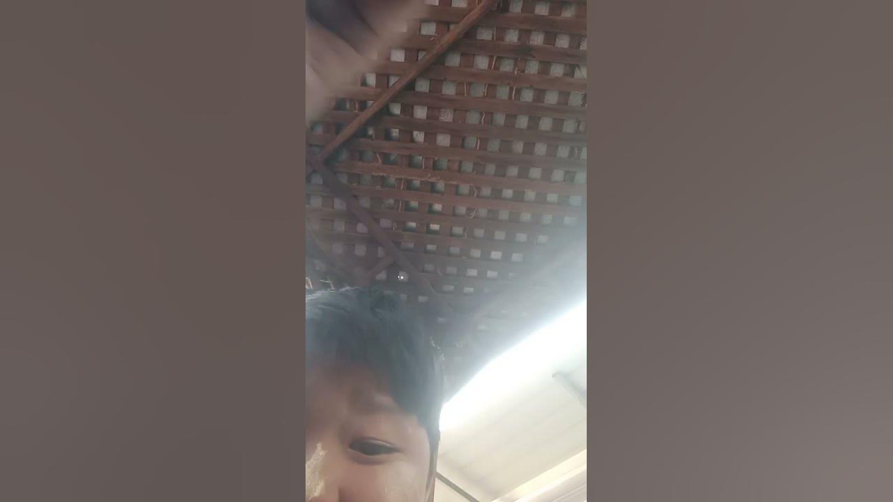 ၂၀၂၅၊ မတ် ၁၉ - YouTube