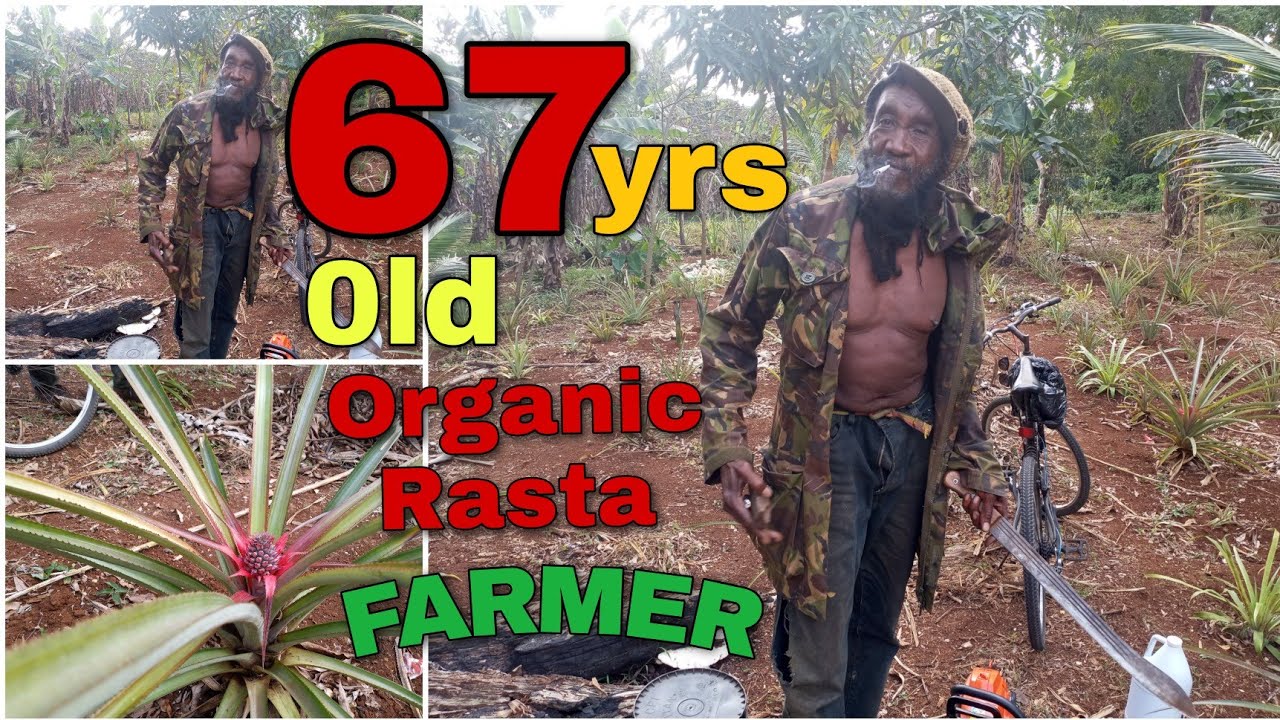67Year Old Organic Rasta farmer - YouTube