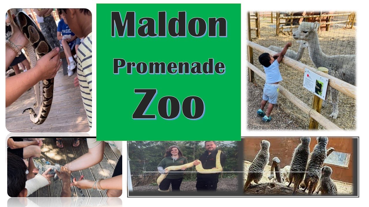 The Maldon Promenade Zoo | Complete tour 2022 | farm animals for kids ...