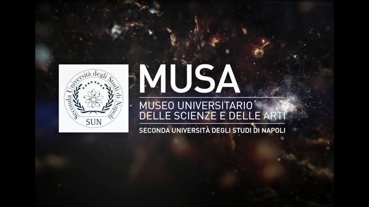 MUSA - il Museo Universitario delle Scienze e delle Arti della SUN ...