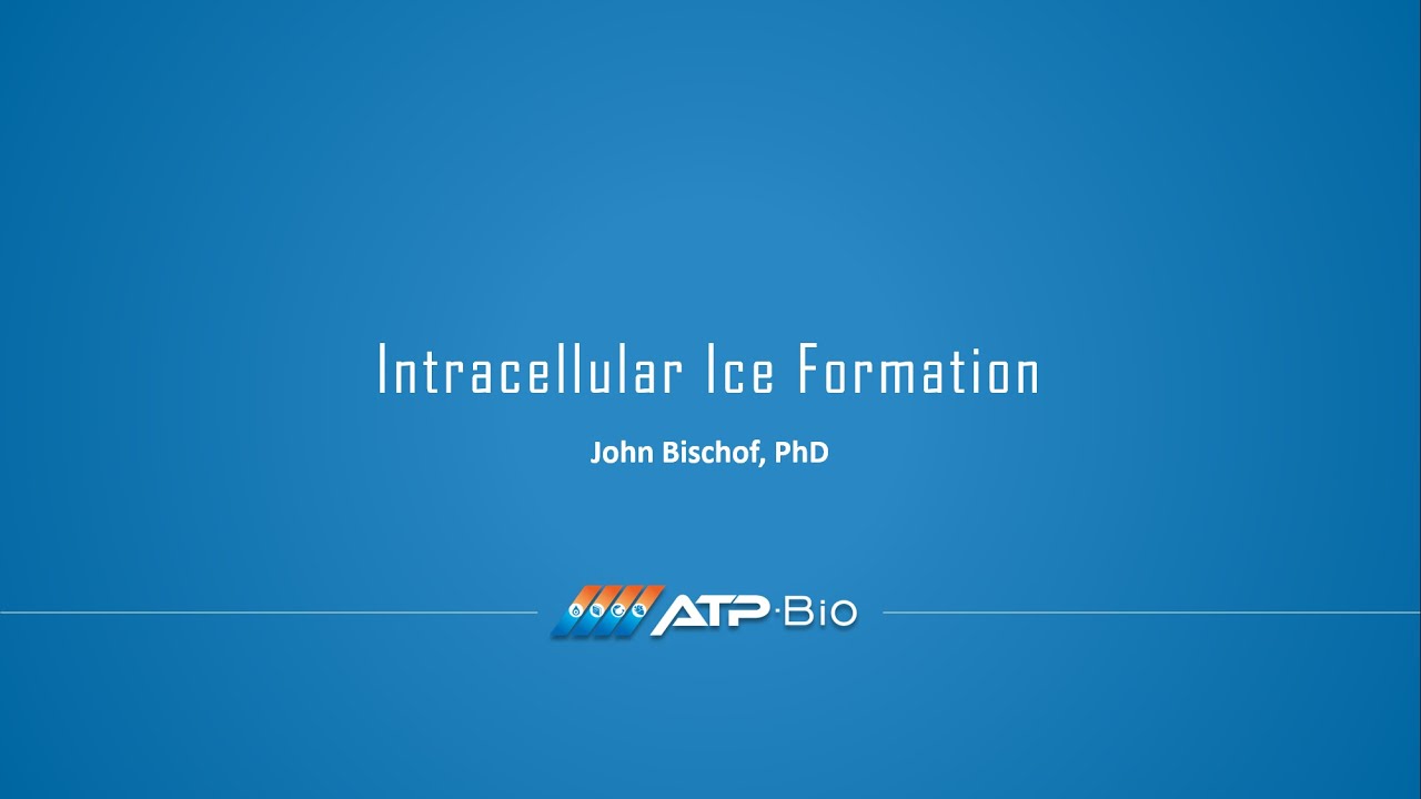 Intracellular Ice Formation - YouTube