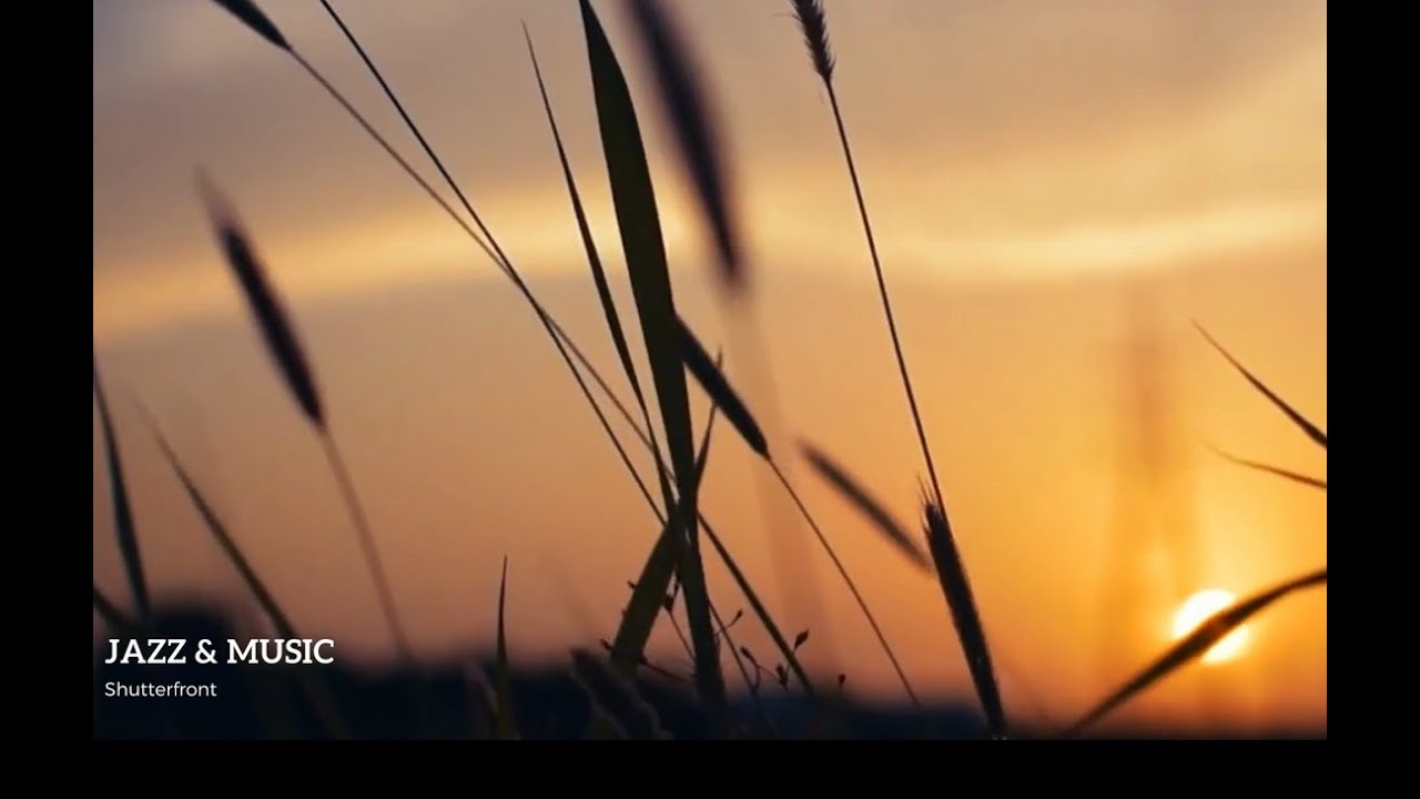 Relaxing Warm Jazz Music for Working and Focus - YouTube