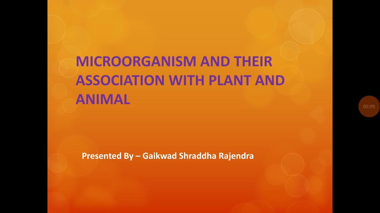 Microorganisms and their associations with plants and animals. - YouTube
