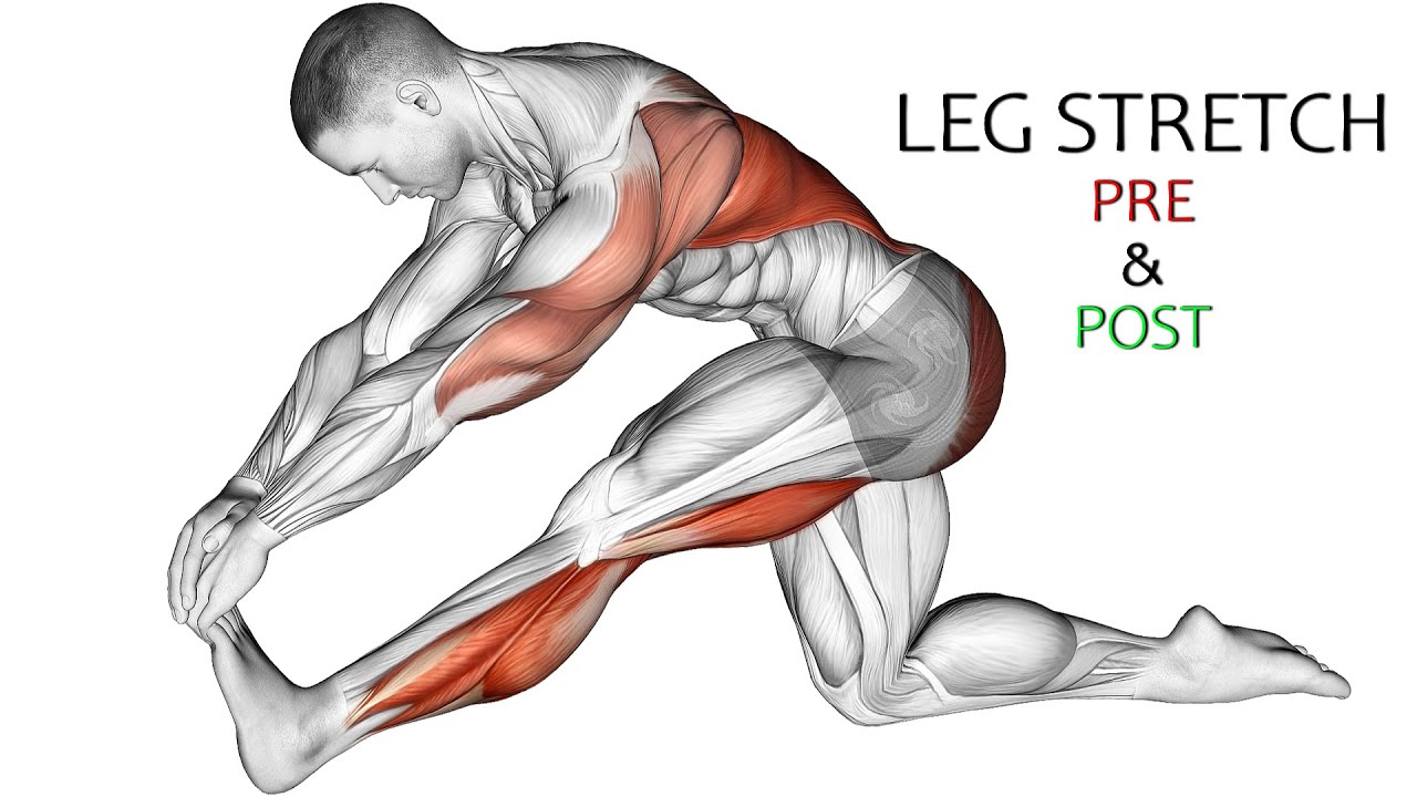 7 Min Leg Stretch | Pre and Post for all Types of Exercises - YouTube