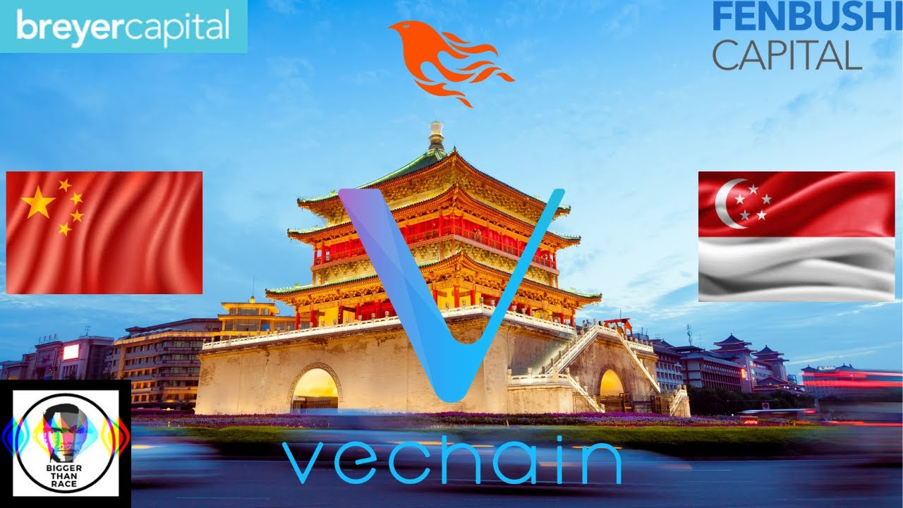 VECHAIN / VET: CHINA AND SINGAPORE SET TO DOMINATE BLOCKCHAIN! THE ...