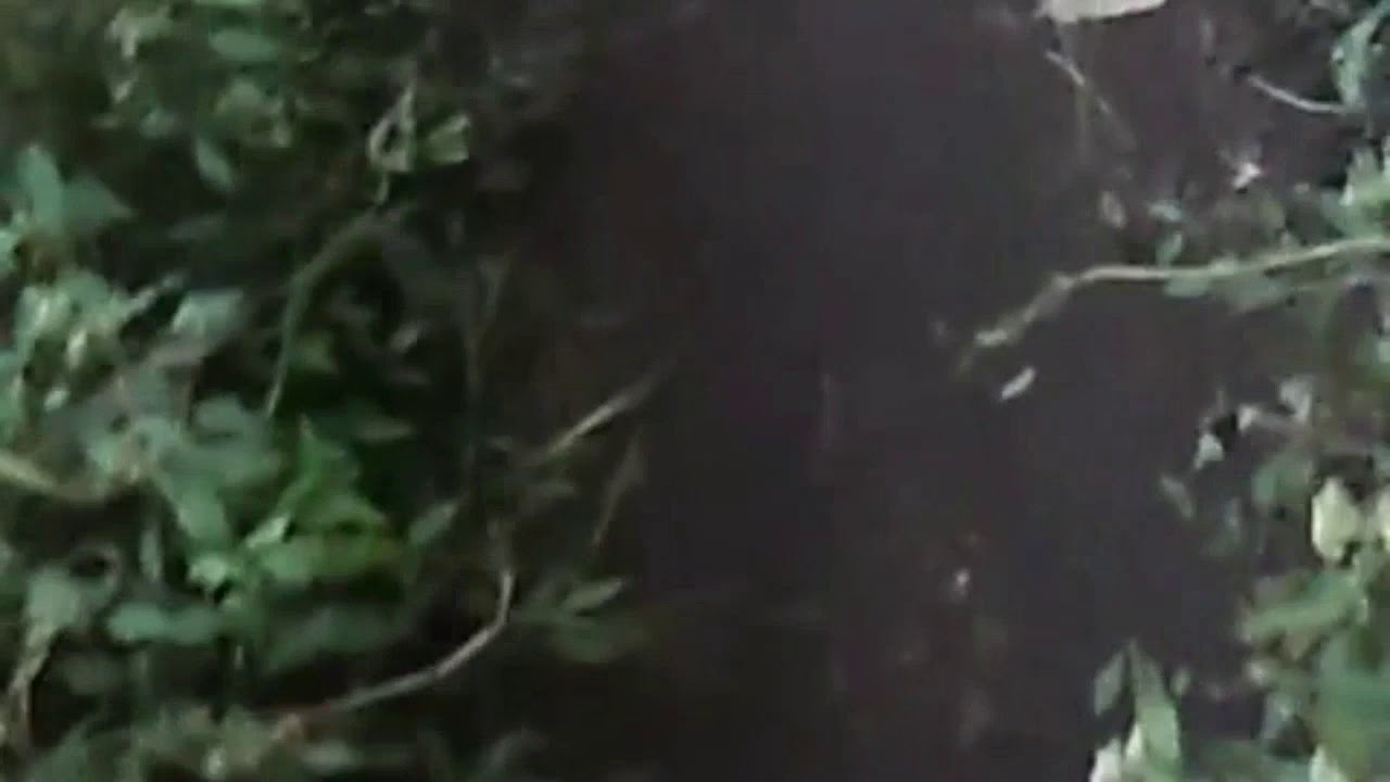 Semeru 3676 Mdpl - YouTube