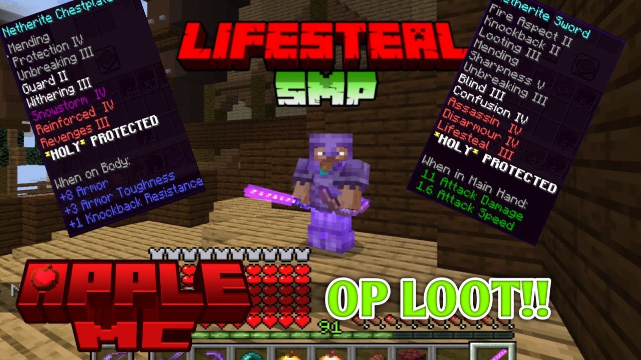 Finally I Got Max in apple mc Lifesteal Smp - It's The BEST Lifesteal ...