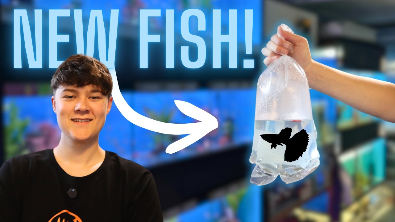 UNBOXING My LAST EVER Fish Order! - YouTube