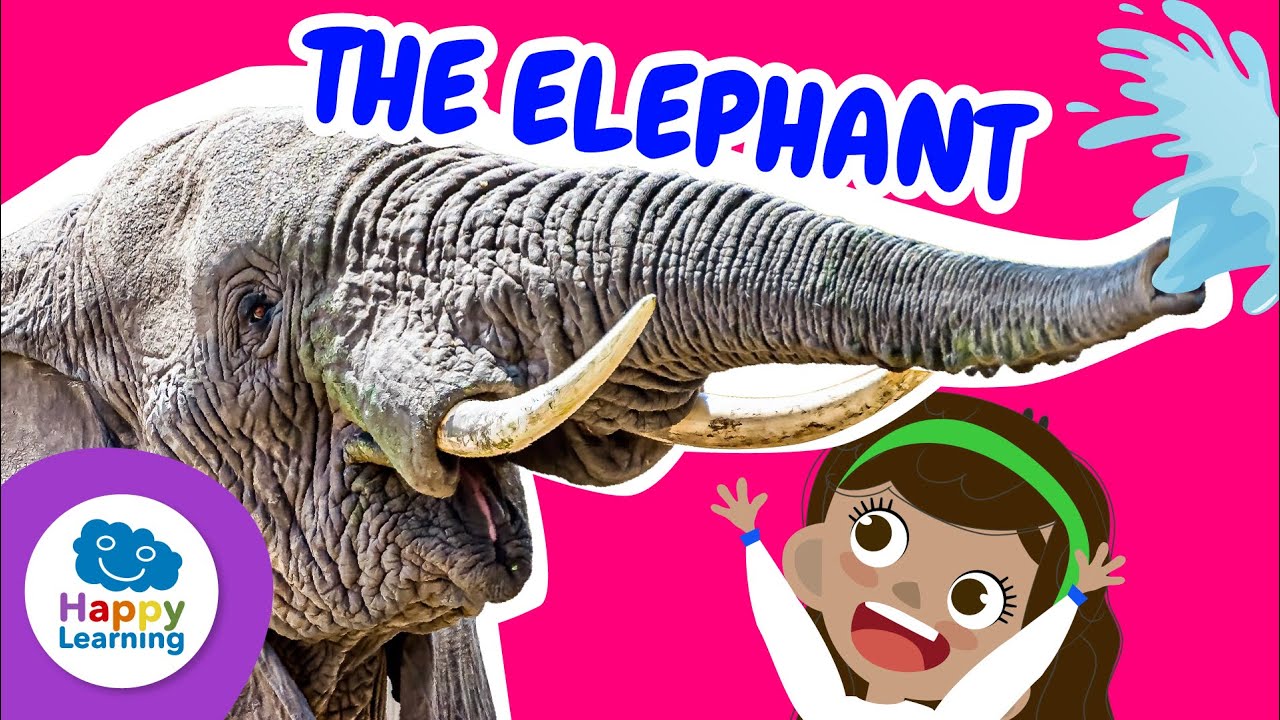 Incredible Facts About Elephants! 🐘🌍 | Happy Learning - YouTube
