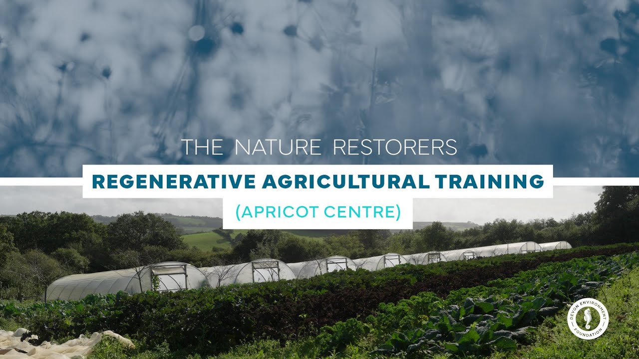 The Nature Restorers: Regenerative Agriculture Training - YouTube