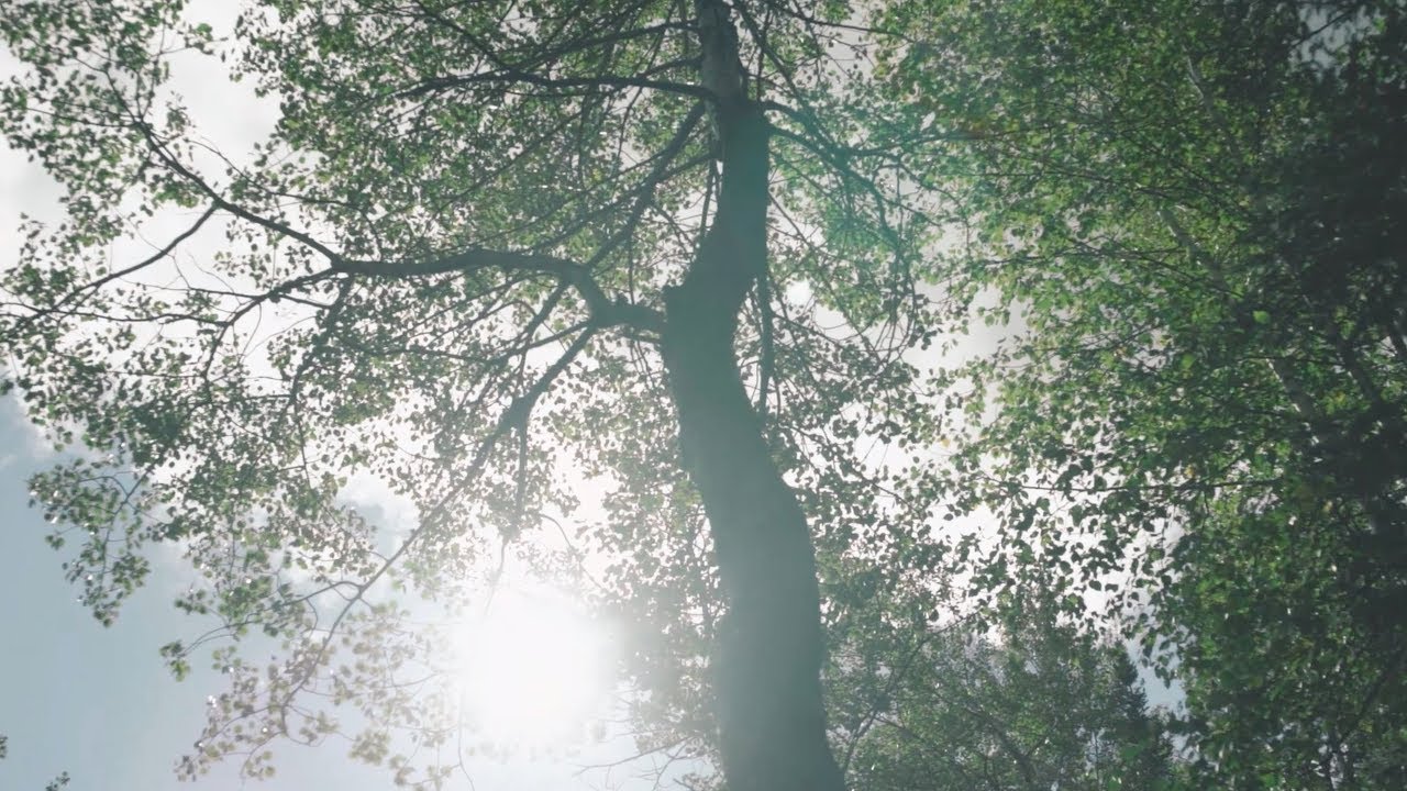 You are the Light | MCI Red Rock Retreat - YouTube