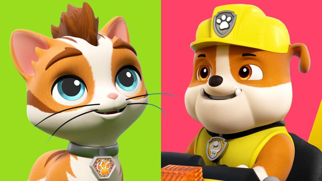 All Cat Pack & PAW Patrol Shorts 😸🐶| PAW Patrol | Cartoons for Kids ...