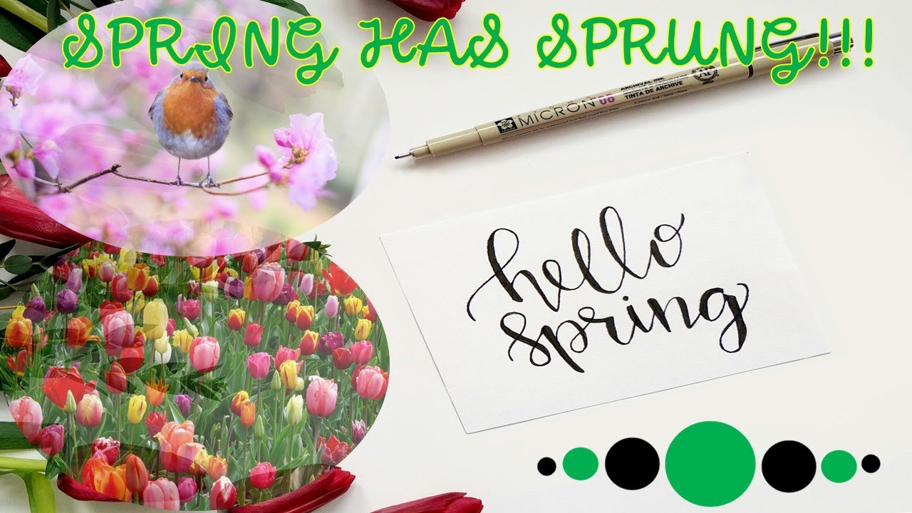 Spring has Sprung!!! - YouTube