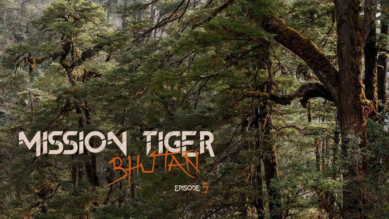 EPISODE 5: A Surprise Visit | Mission Tiger - Bhutan - YouTube