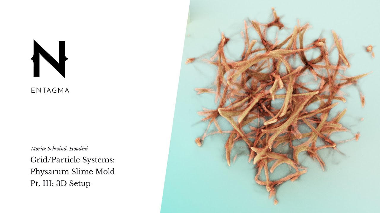 Grid Particle Systems - Physarum Slime Mold Pt III: 3D Setup - YouTube