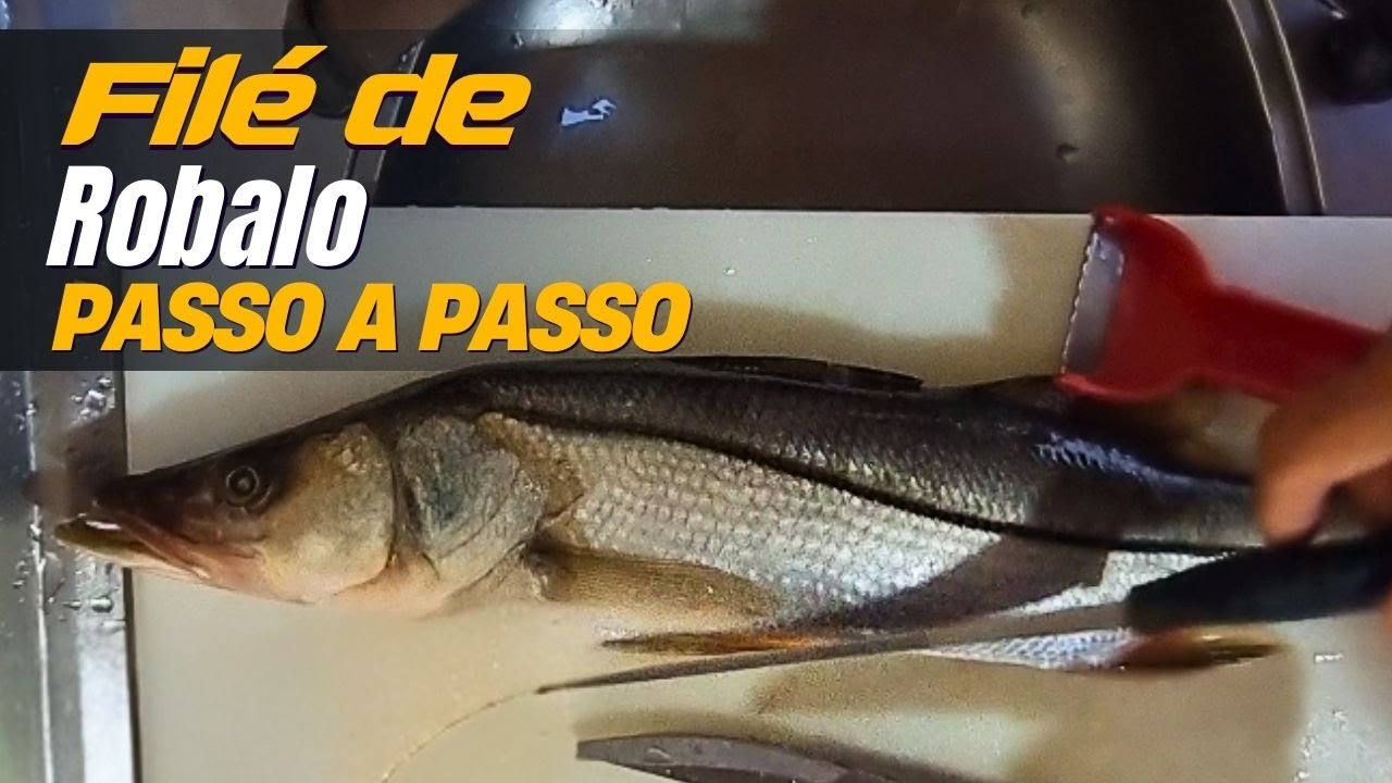 Filé de Robalo passo a passo detalhado - YouTube