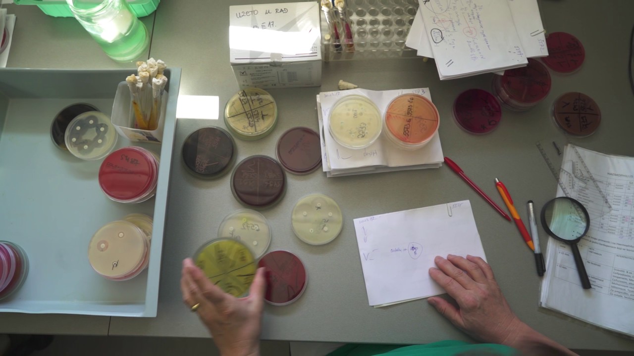 Mikrobiologija - YouTube