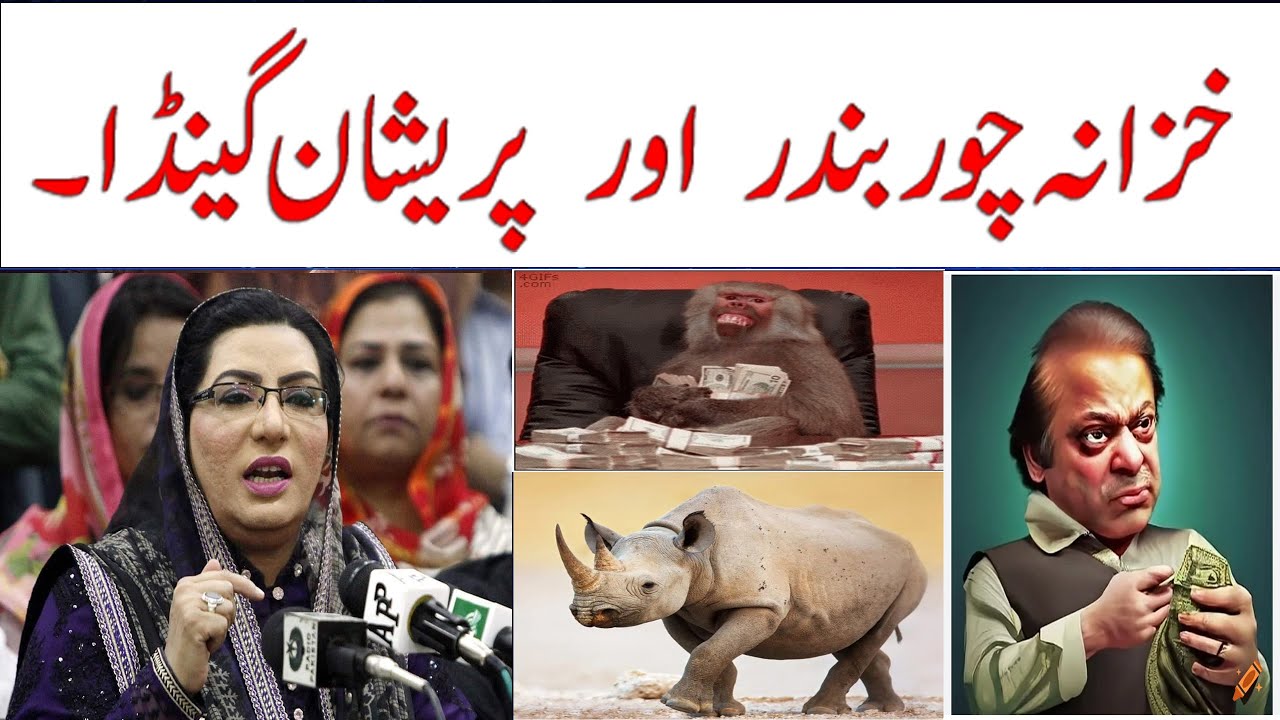 A Monkey Thief (Funny Video on Pakistani politics) Ganjay Chor - YouTube