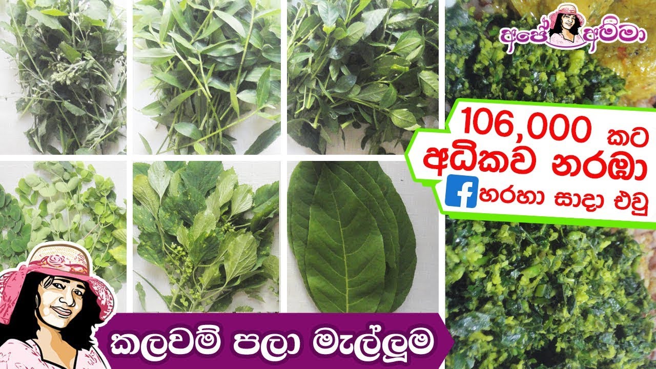 බොහෝ රෝග සුව කරන කලවම් පලා මැල්ලුම Mixed leafy veggie mallum by Apé ...