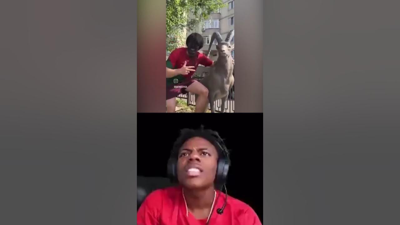 IShowSpeed LOSES it - YouTube