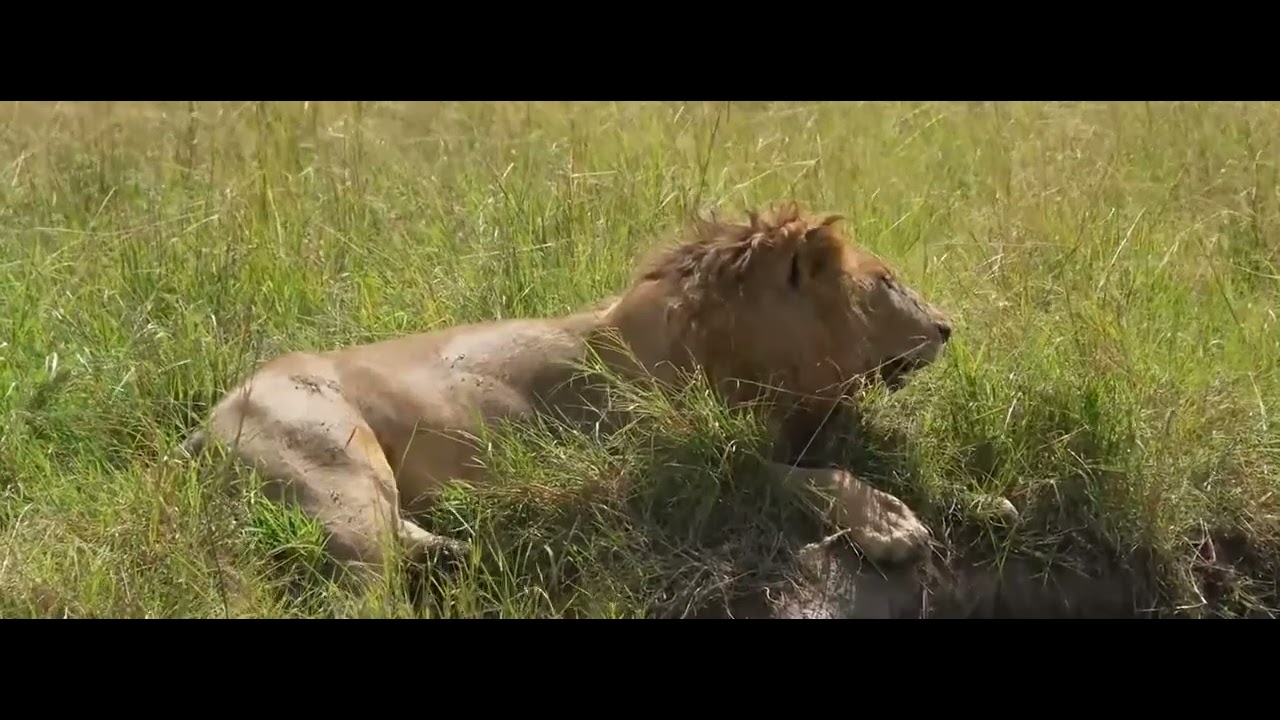 R5/Rongai Boys (2 of 5) - YouTube