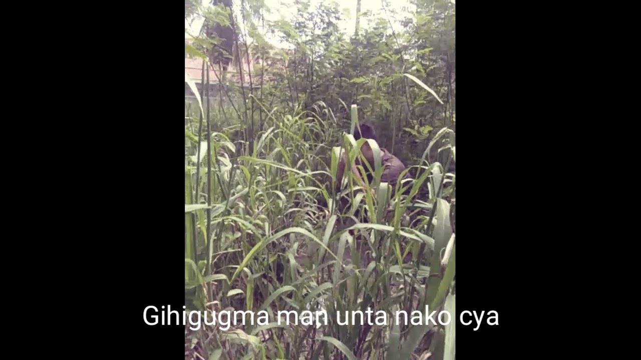 Nalibang sa kasagingan 😂🙉 - YouTube