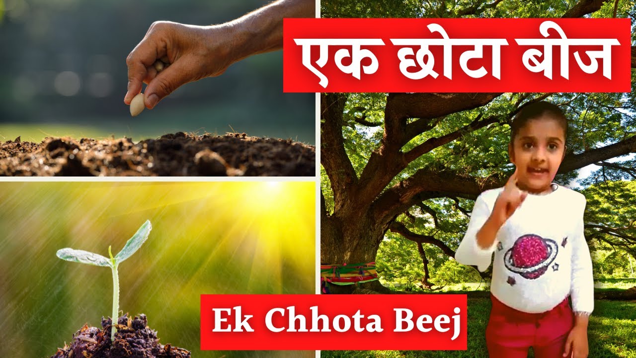 Ek Chhota Beej। एक छोटा बीज। Rhymes for Children in Hindi - YouTube