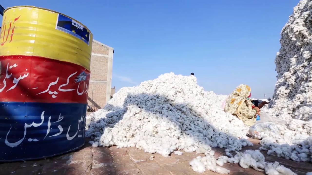 Sustainable cotton production in Pakistan - YouTube