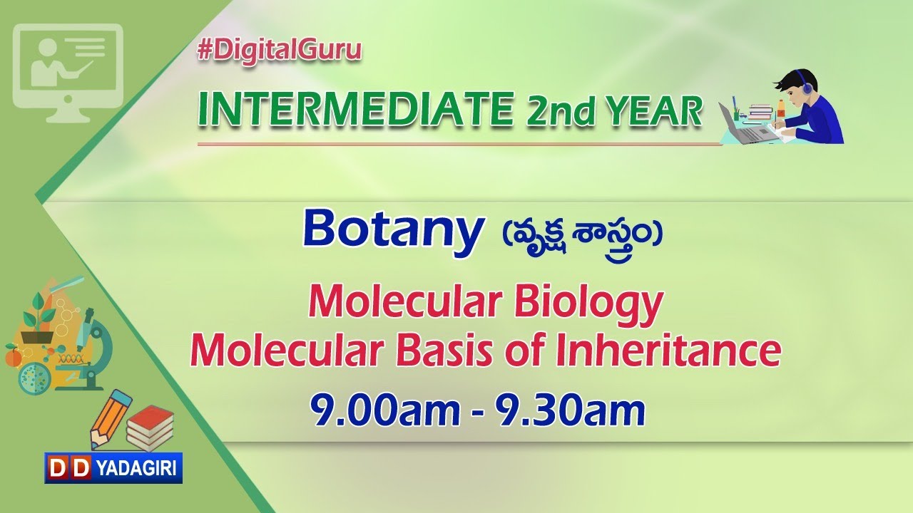 2nd Inter Botany || Molecular Biology Molecular Basis Of Inheritance ...