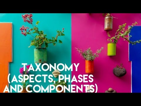 Taxonomy (aspects, phases and components) - YouTube