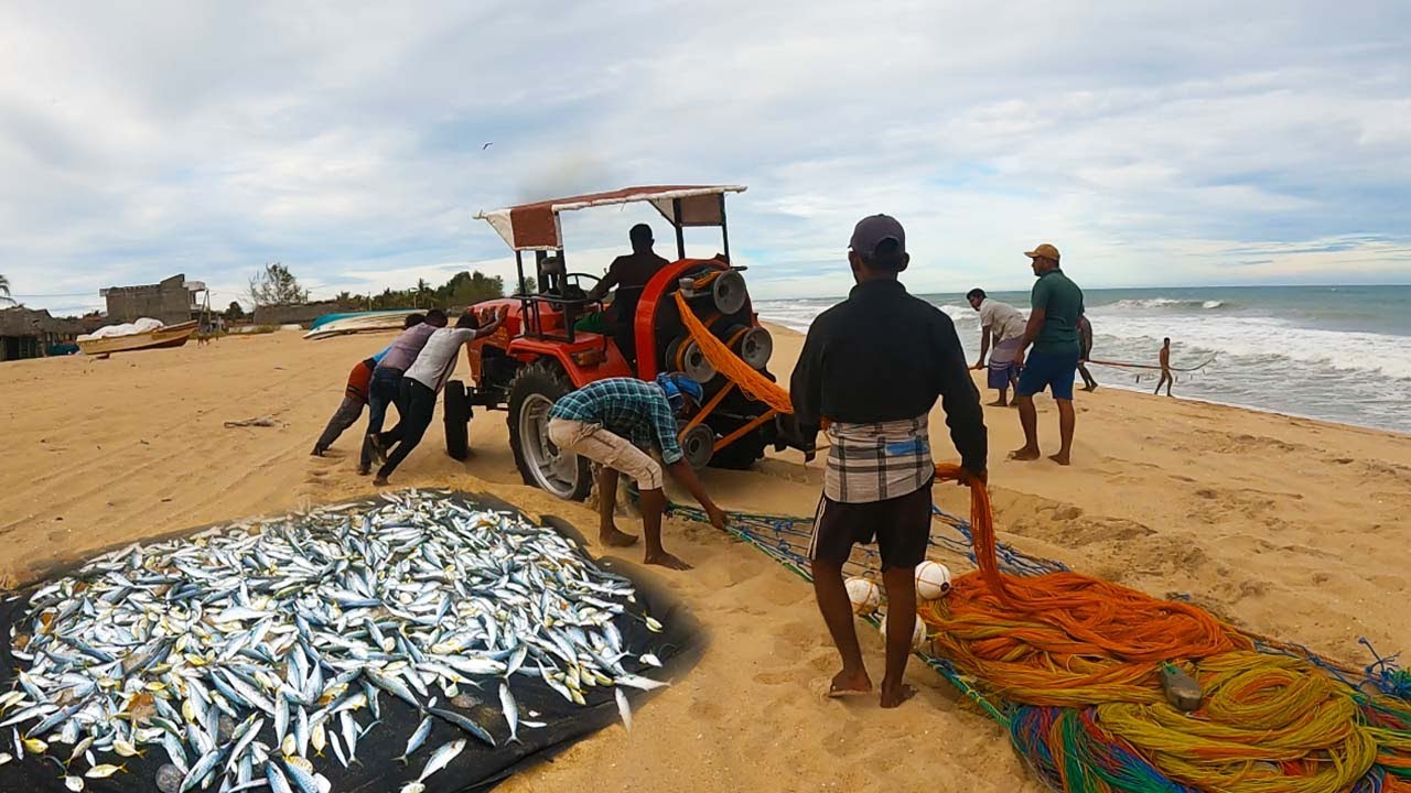 Unbelievable Fishing Behind Tractor | Amazing Seine Fishing Using ...