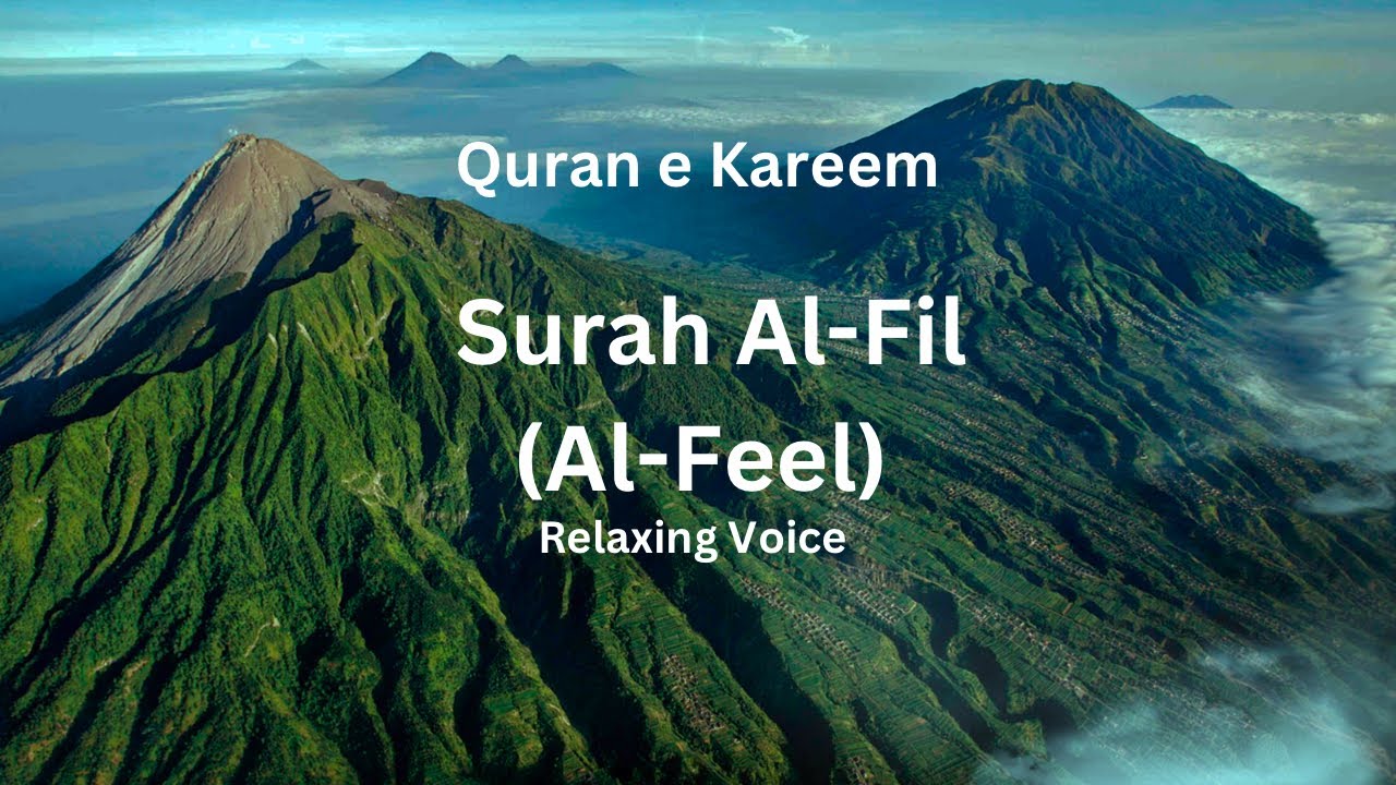 Surah Al-Fil (Al-Feel) | Relaxing Recitation - YouTube