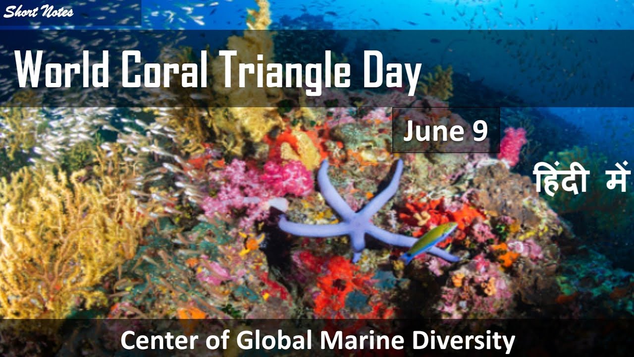 Coral triangle | coral triangle Day | what is coral triangle | threat ...