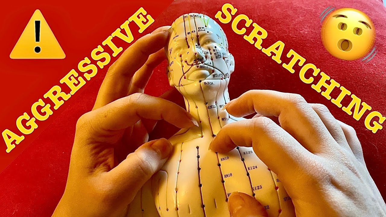 ASMR|⚠️FAST AGGRESSIVE SCRATCHING FULL BODY ON ACUPUNCTURE DOLL. BODY ...