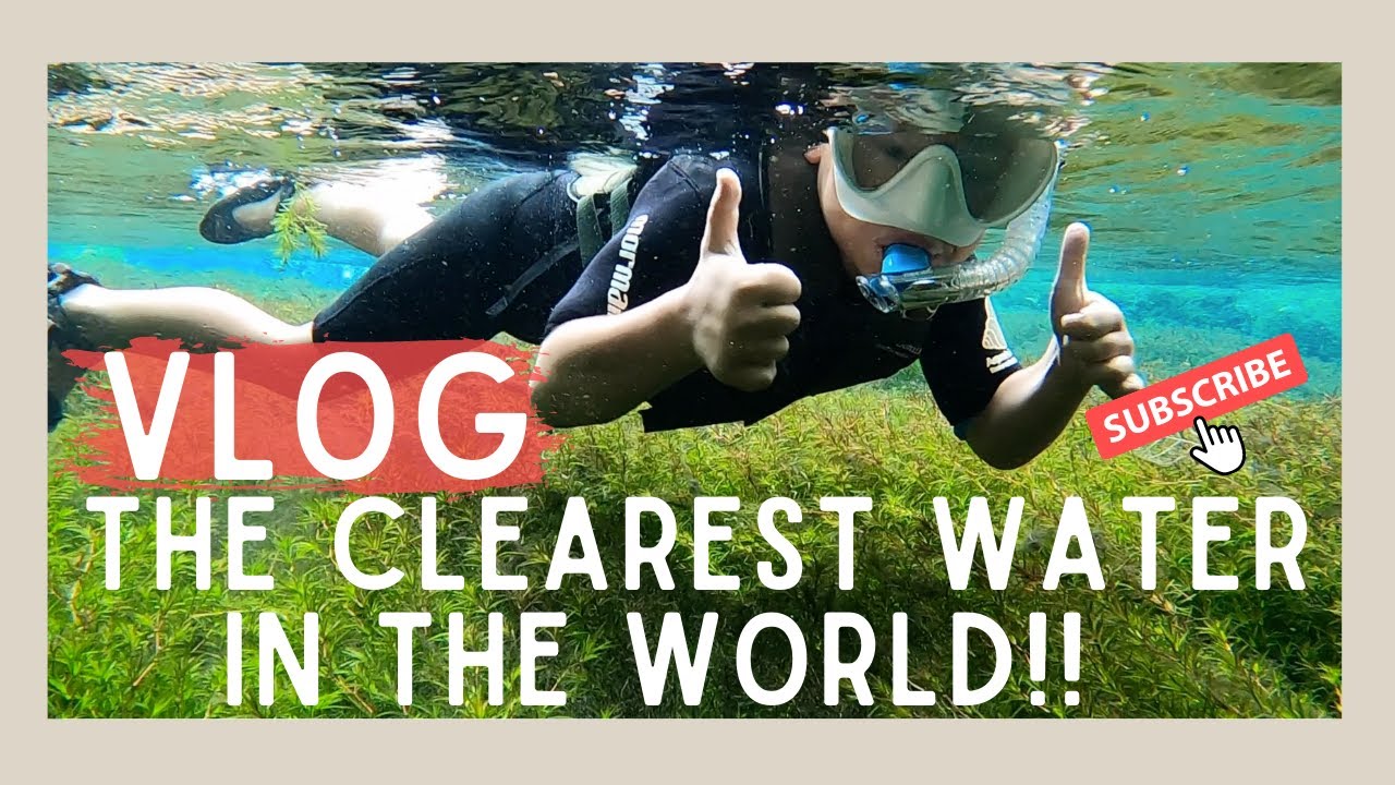 The Clearest Water in the WORLD!! Bonito River Floating - Aquario ...